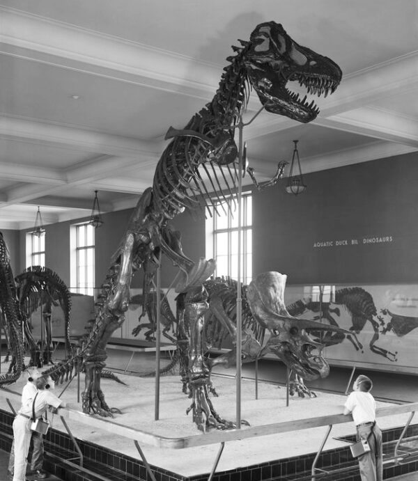 Spark and Fire: Book designer Chip Kidd on Jurassic Park